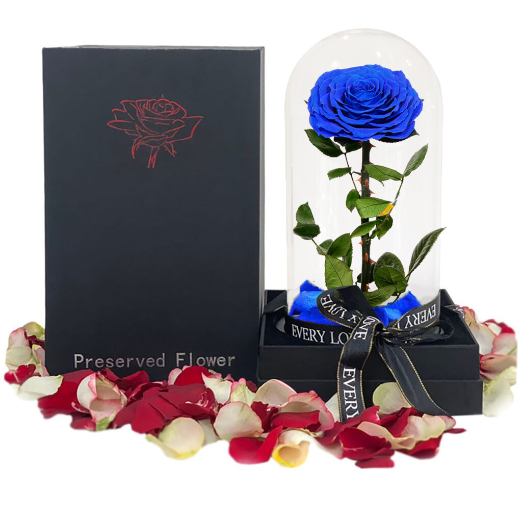 Single blue infinity rose - CityRose Flowers